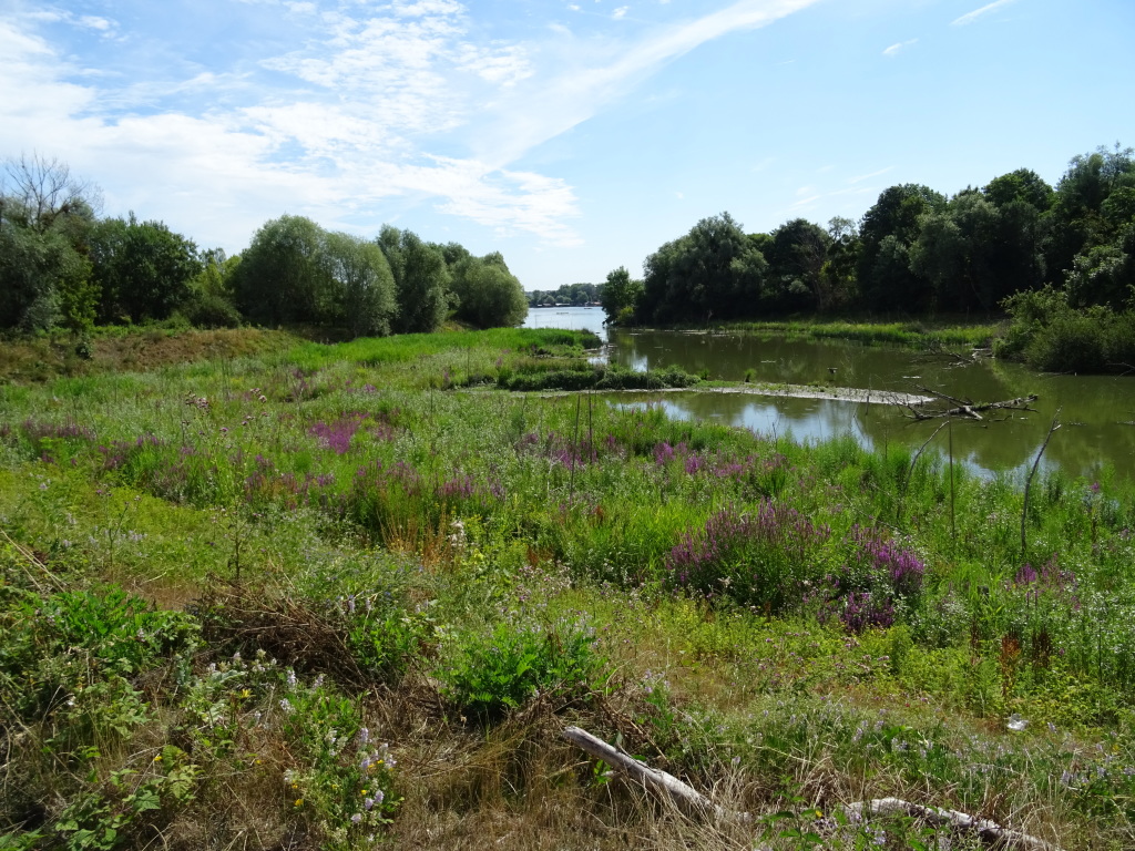 Le Parc du Peuple de l'herbe - Conseil départemental des Yvelines