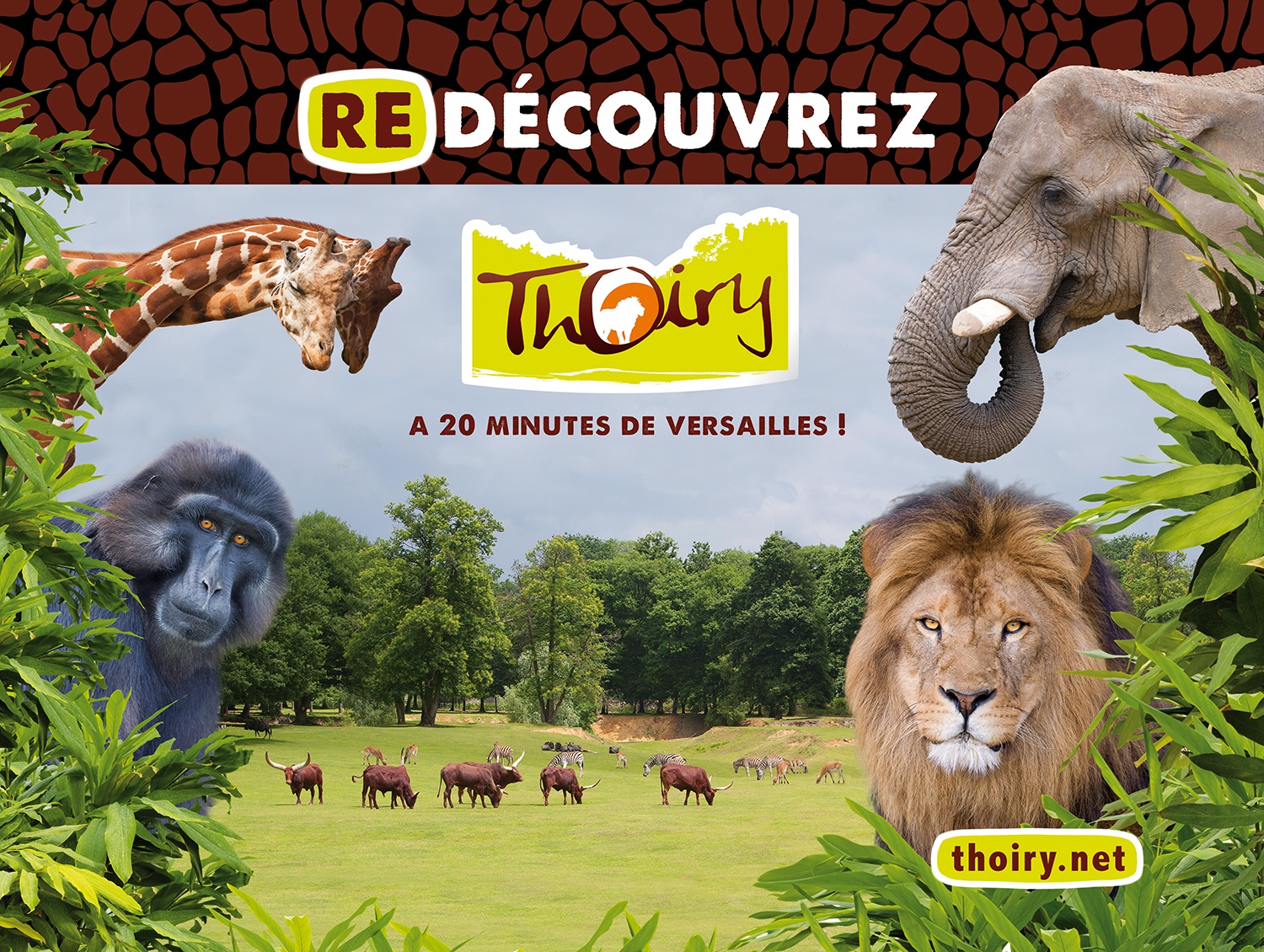 4x3 V1 07 Thoiry small - Conseil départemental des Yvelines